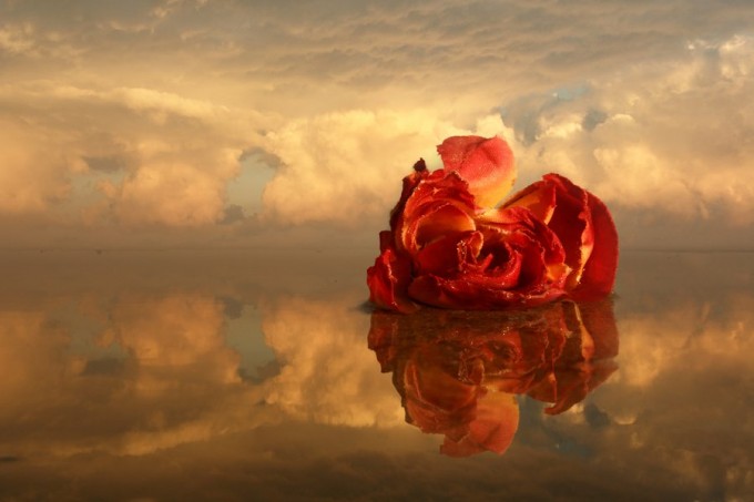 Beautiful Love Inspired Photography | EntertainmentMesh